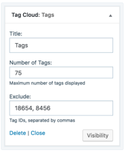 How to show Tag Cloud widget on WordPress – Avada